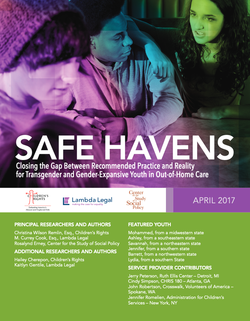 Safe Havens Report 2.0 - Lambda Legal