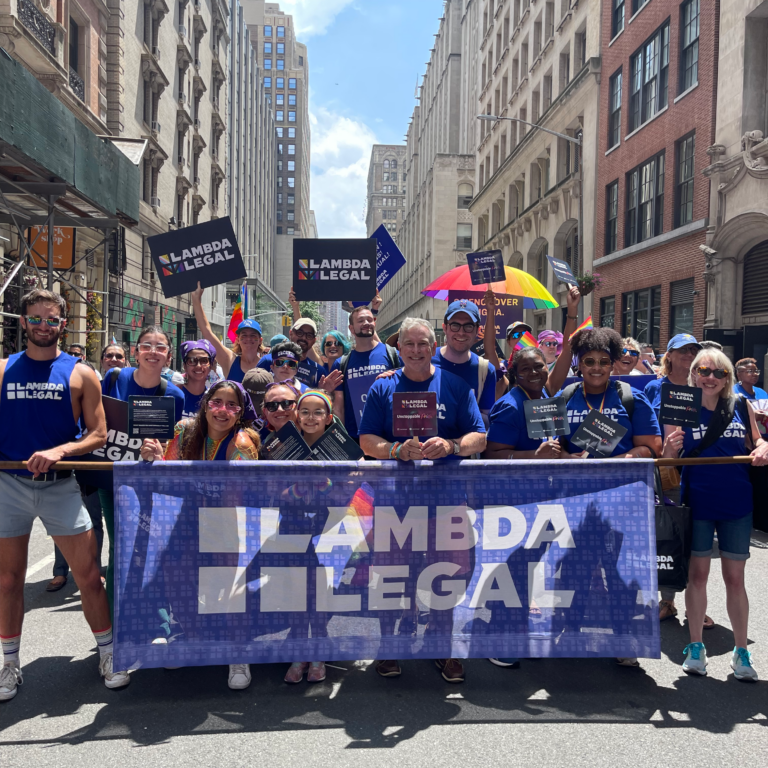 Comprehensive Campaign - Lambda Legal