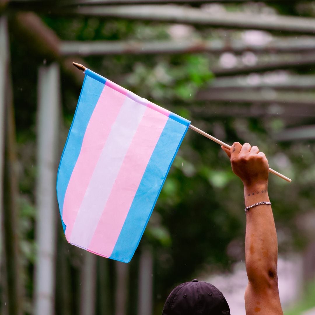 “We are not backing down”: Lambda Legal Statement of Support for Transgender, Nonbinary & Gender ...